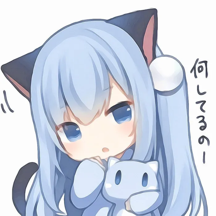 NexL卡网